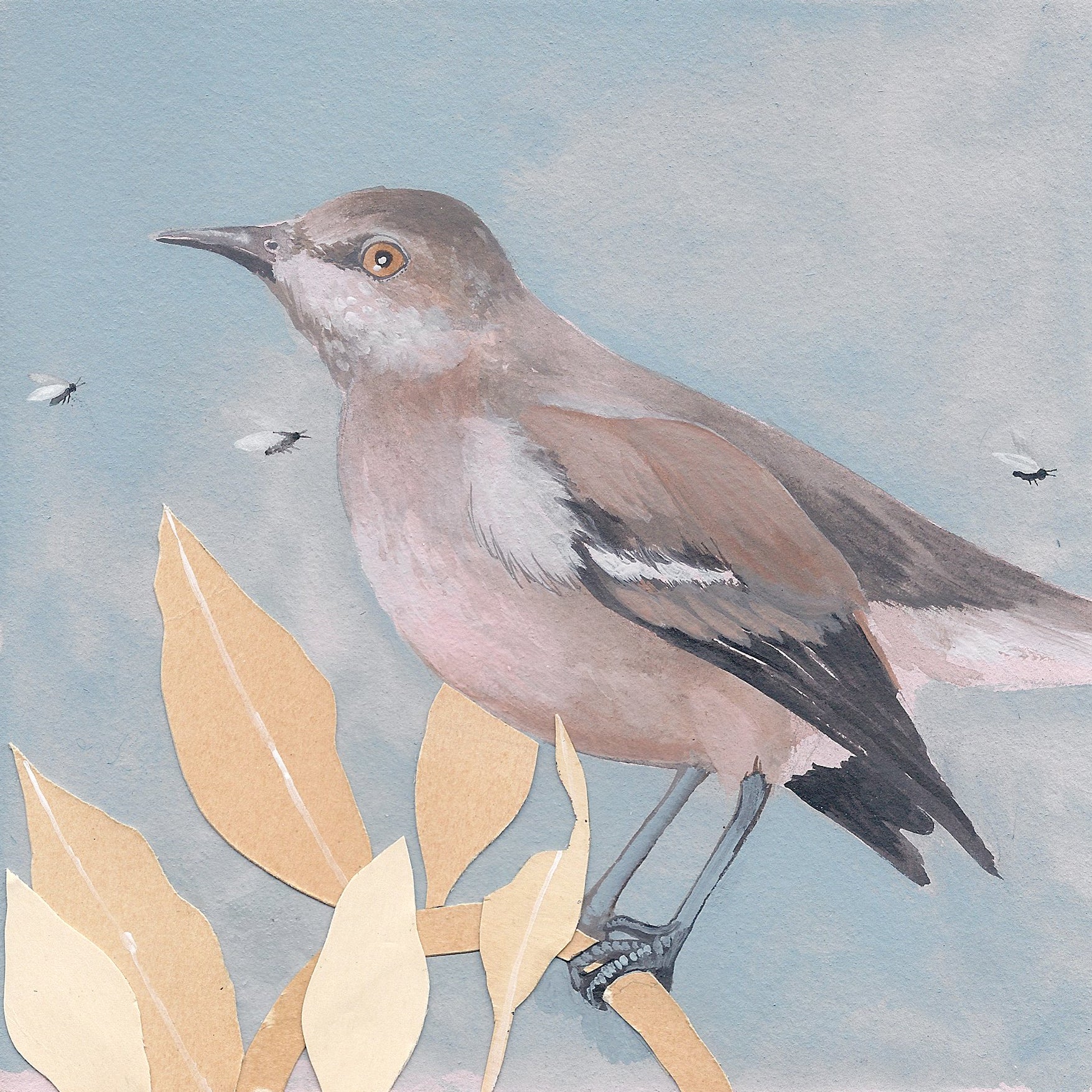 Northern Mockingbird print – Steph Holmes Artist Studio